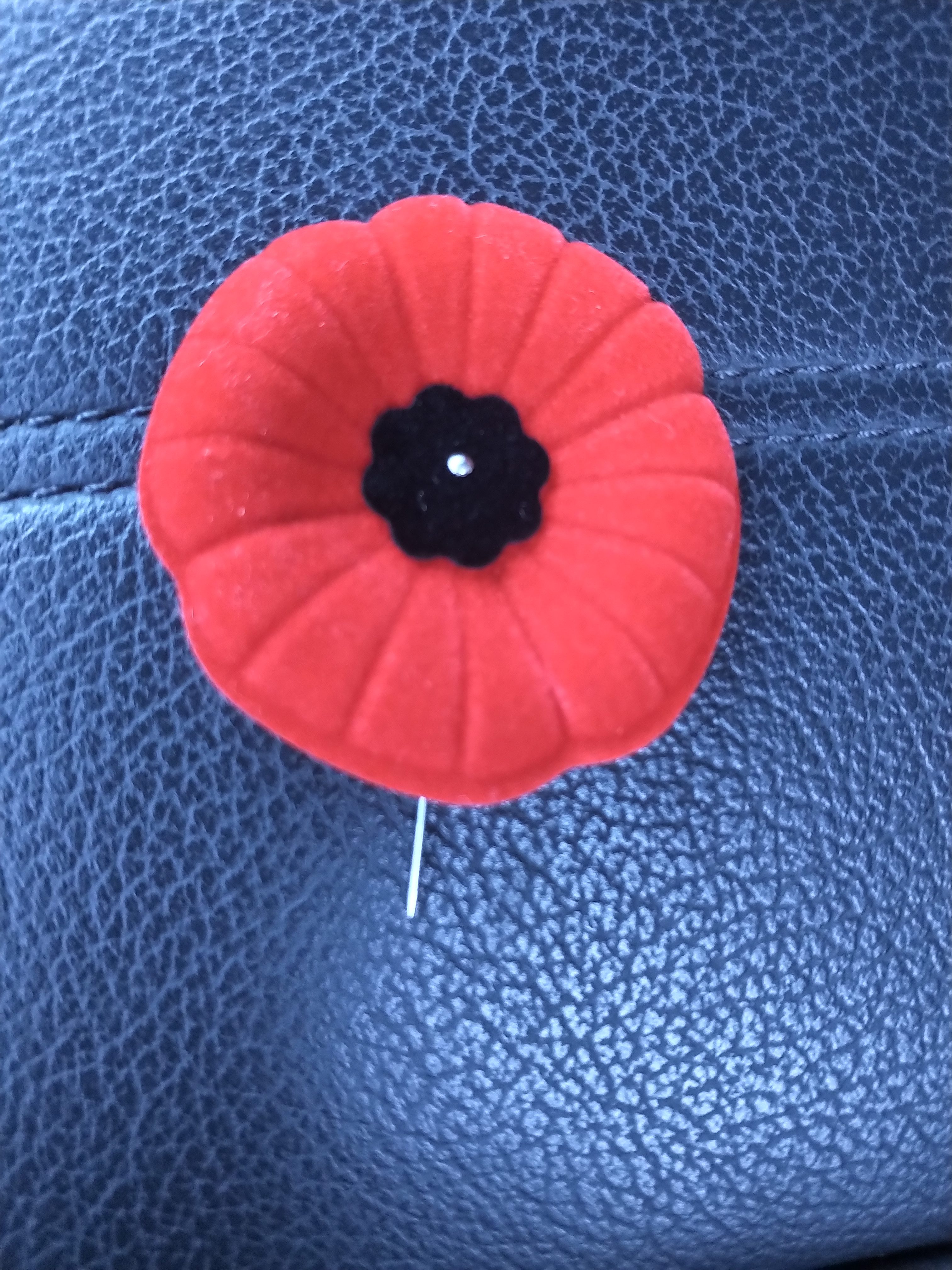 Remembrance Day Poppies: Who Can Produce and Sell Them, including ...